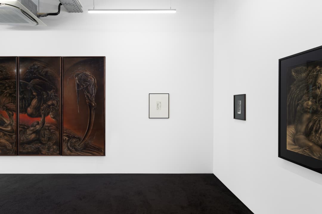 Frenzy of the Visible — Project Native Informant