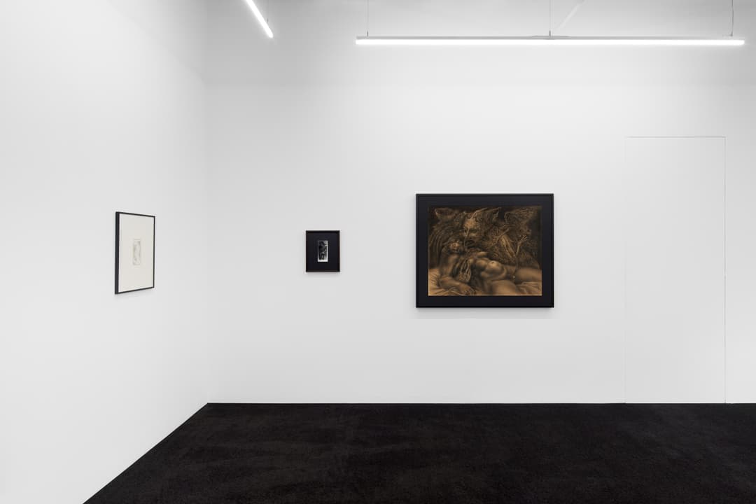 Frenzy of the Visible — Project Native Informant