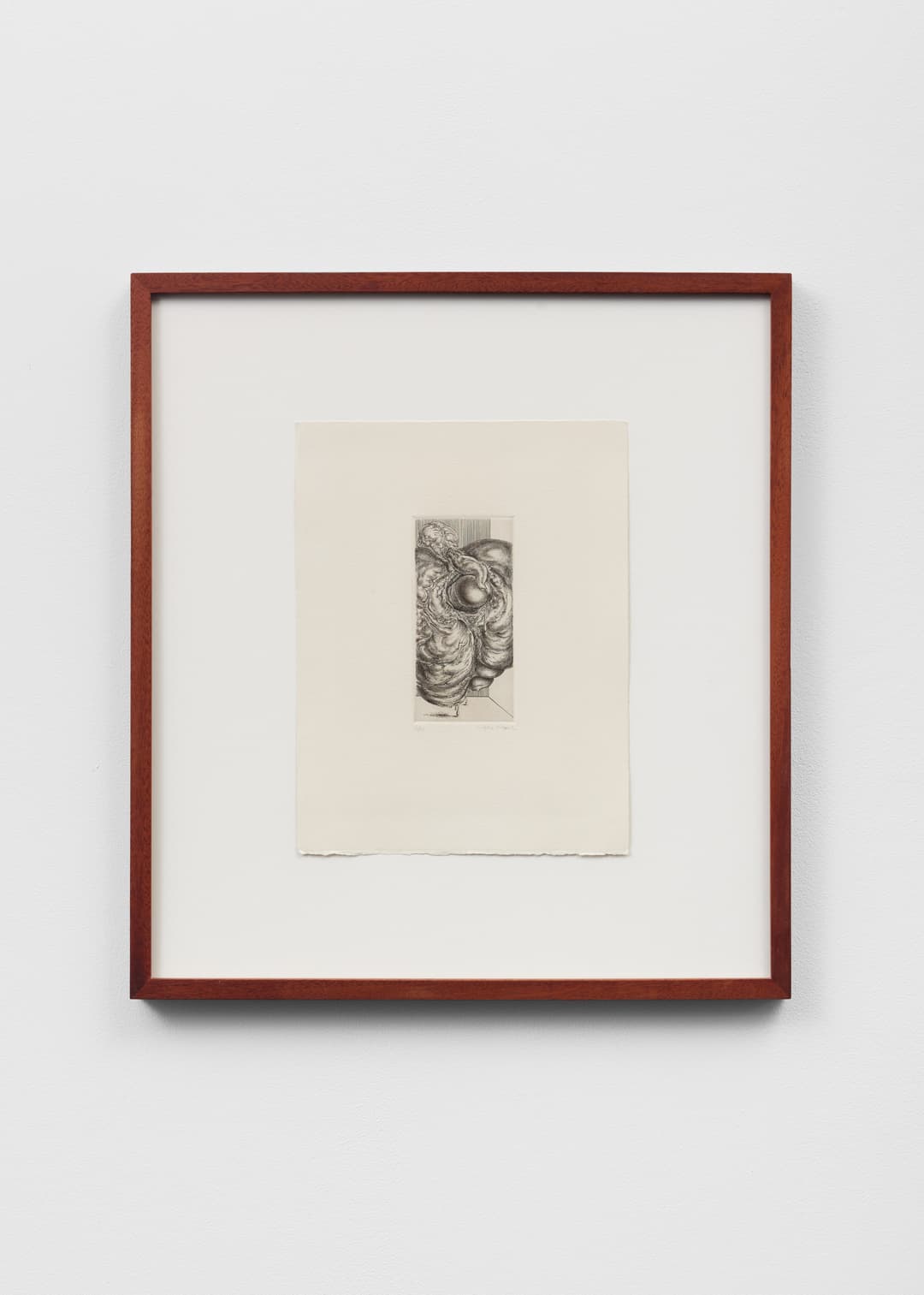 Frenzy of the Visible — Project Native Informant