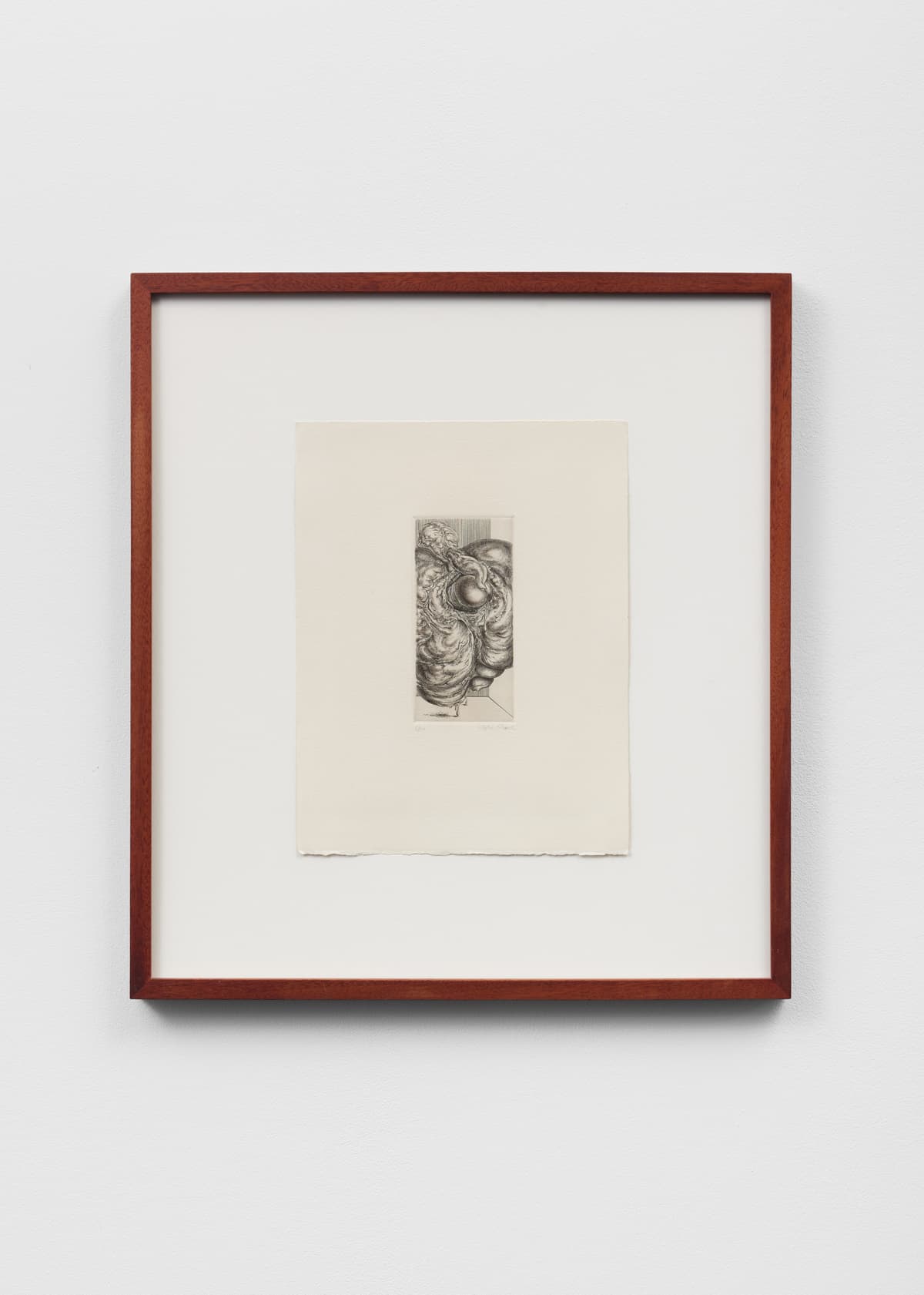 Frenzy of the Visible — Project Native Informant