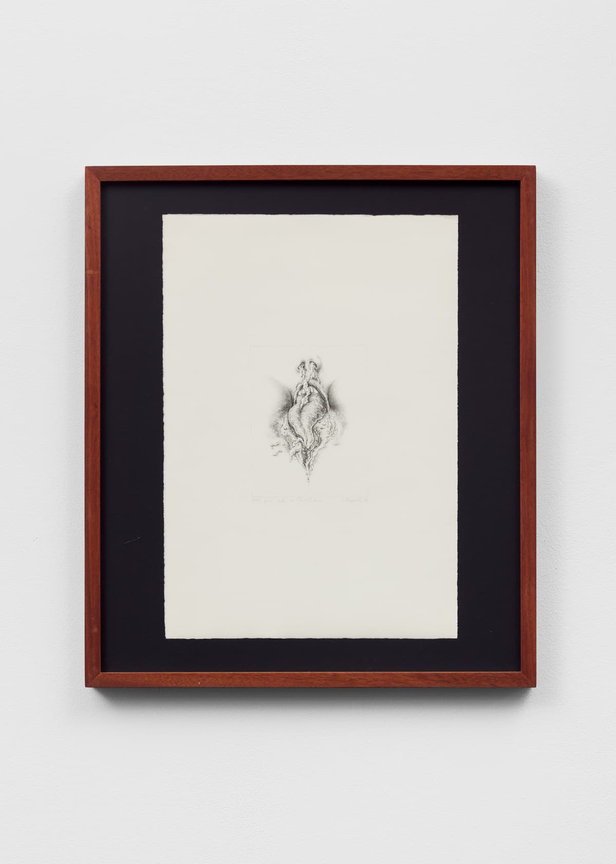 Frenzy of the Visible — Project Native Informant