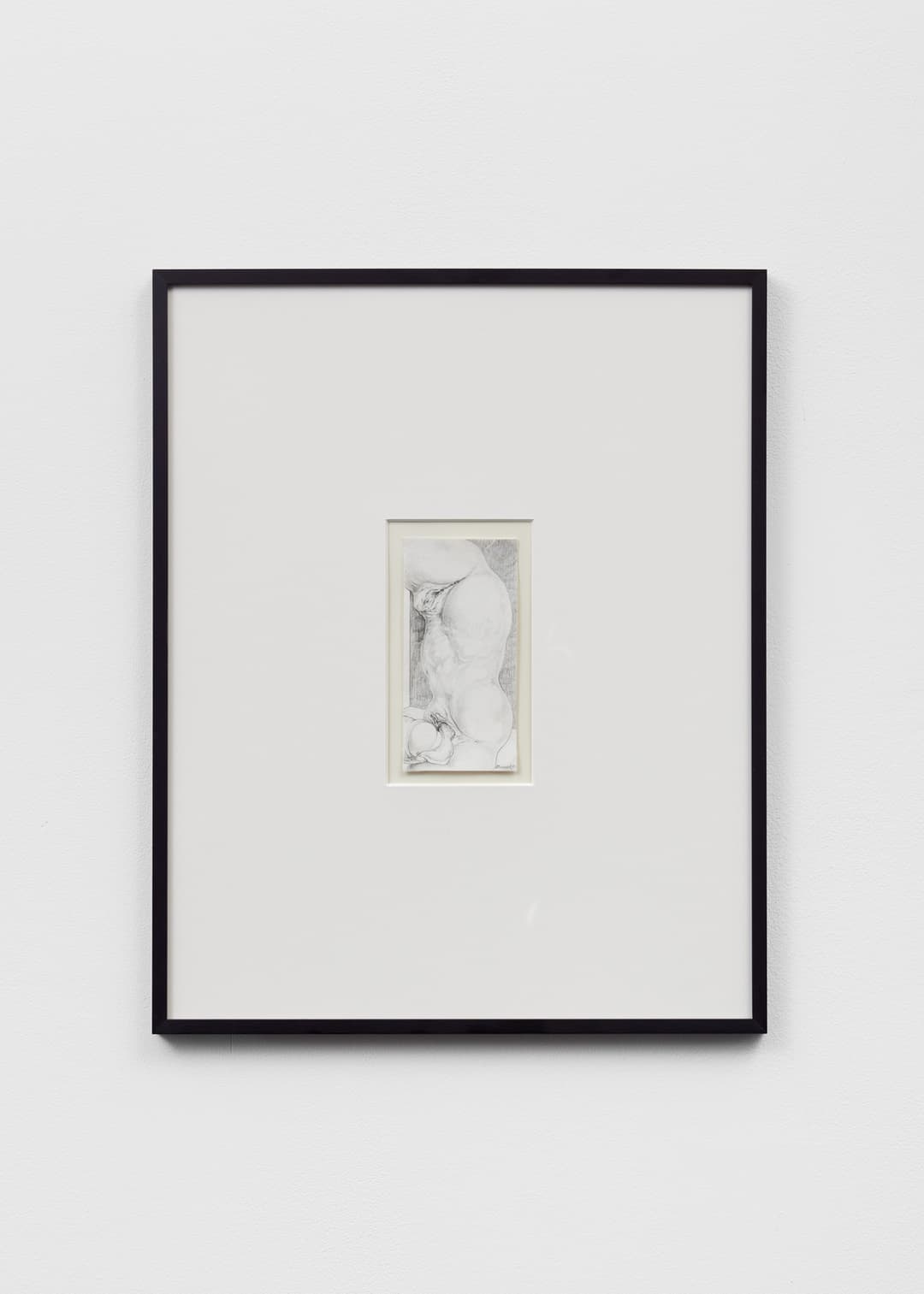 Frenzy of the Visible — Project Native Informant