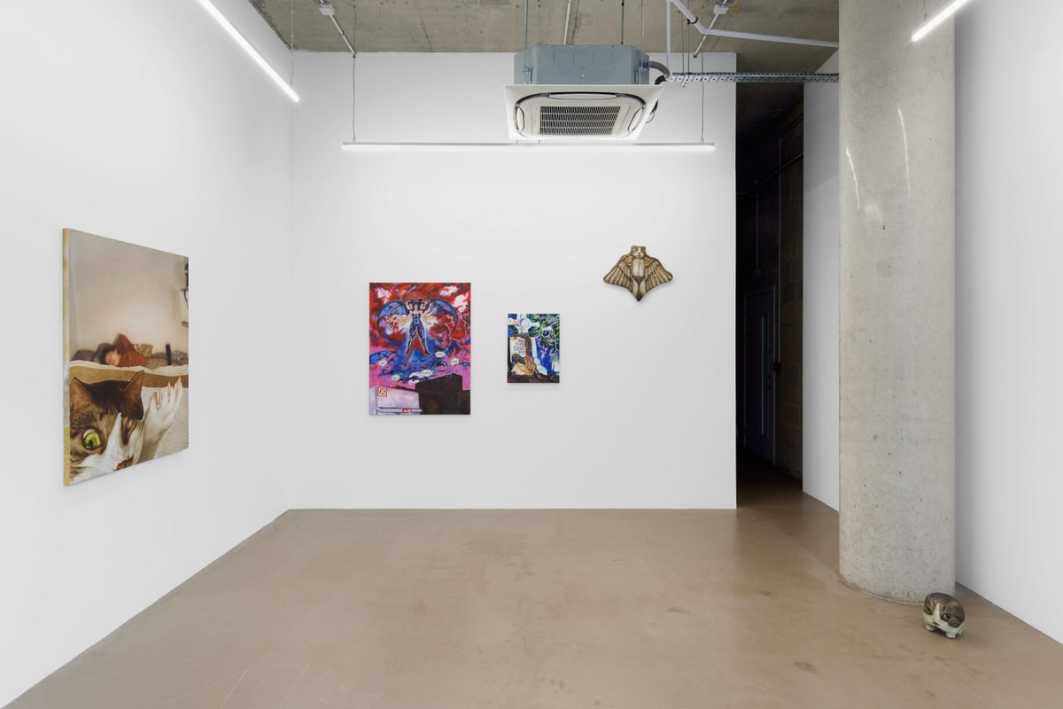 CONDO 2024 — Project Native Informant